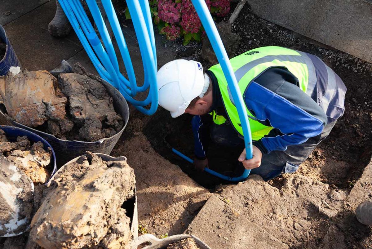 Impact Moling - Choose the Leading Moling Experts